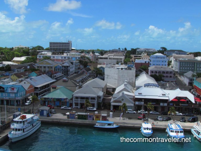 Top 5 Reasons to Go on a Reunion Cruise | The Common Traveler