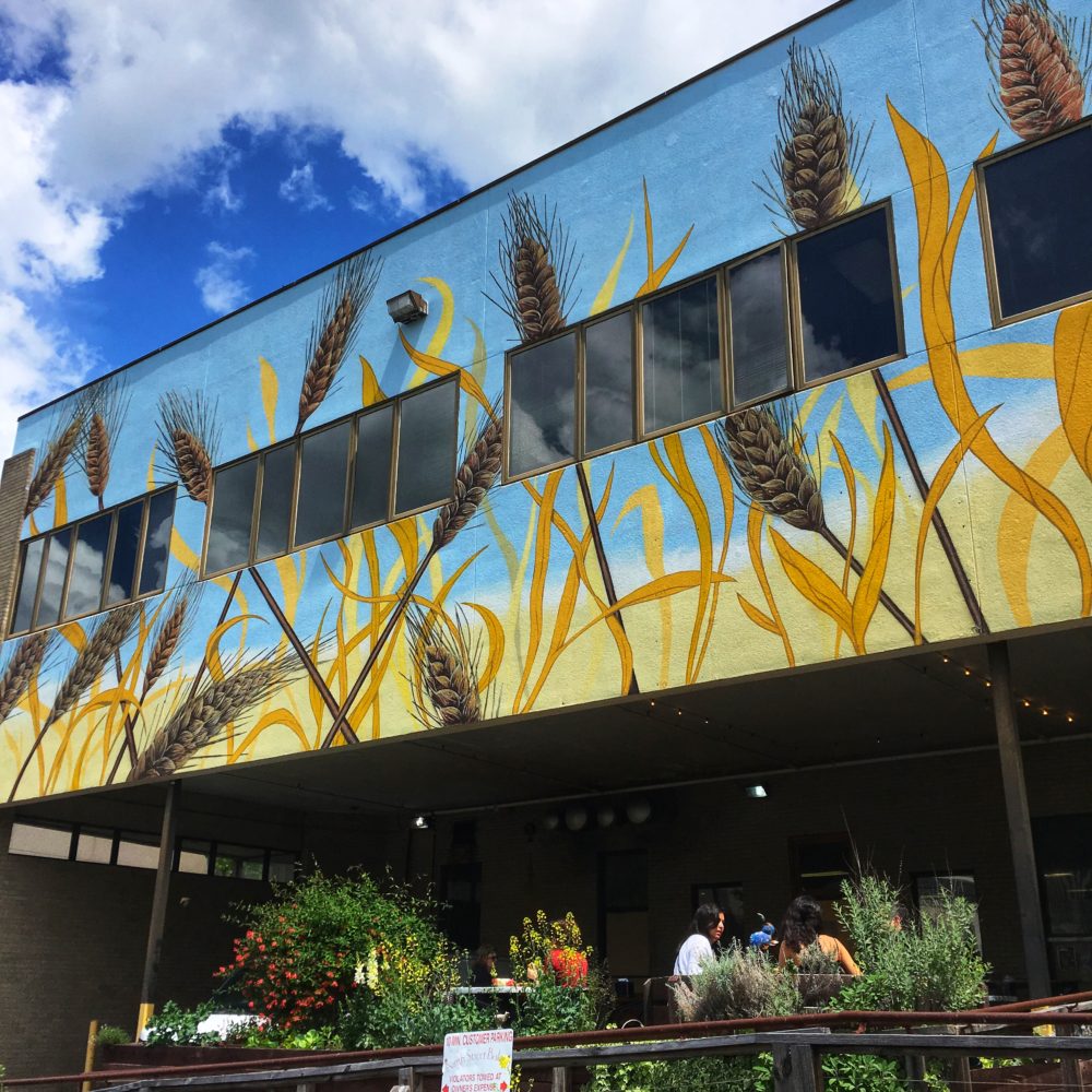 A Walking Tour of Downtown Durham's Murals - The Common Traveler