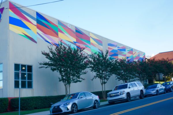 A Walking Tour of Downtown Durham's Murals - The Common Traveler