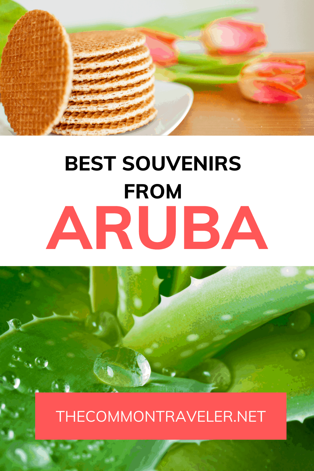 Top 10 Aruba Souvenirs to Buy - The Common Traveler