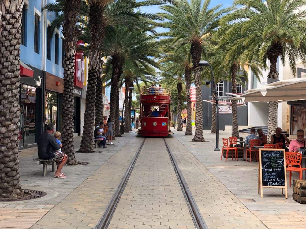 Top 10 Aruba Souvenirs to Buy - The Common Traveler