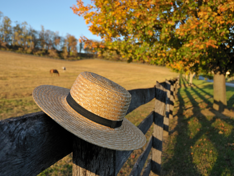 What to Do in PA Dutch Country: 10 Amish Gifts and Amish Souvenirs ...