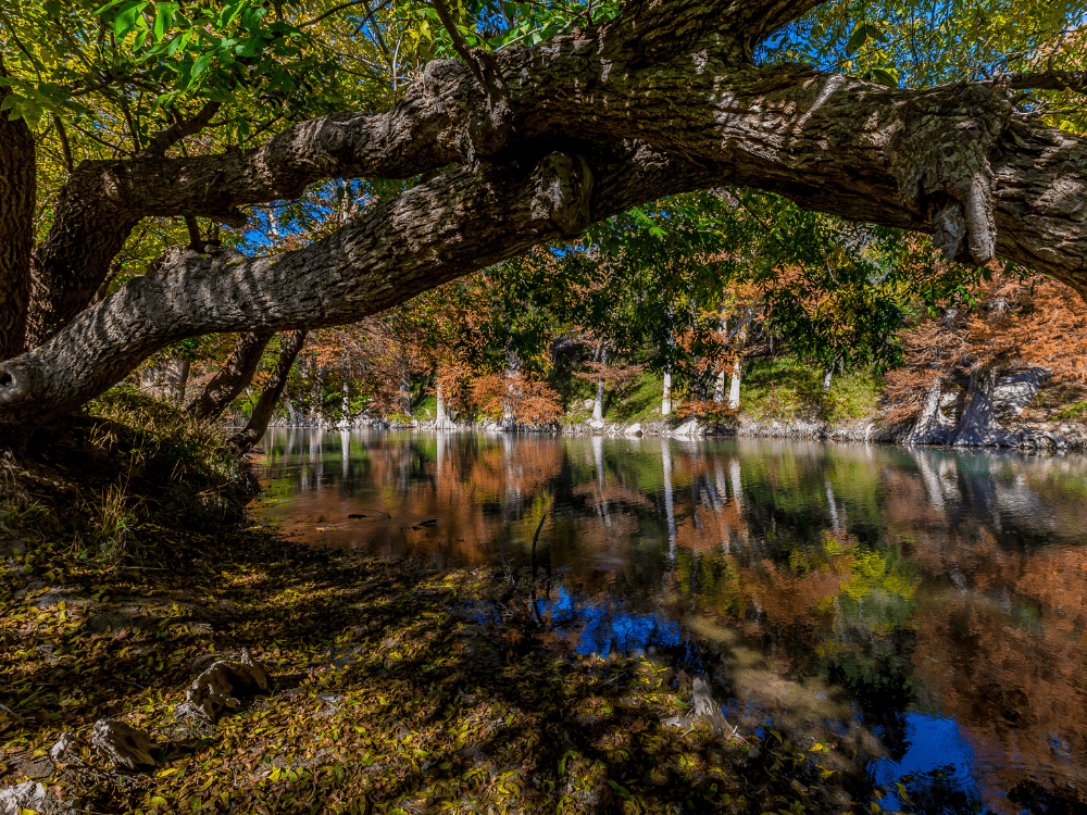 10 Best Campsites in Texas - The Common Traveler