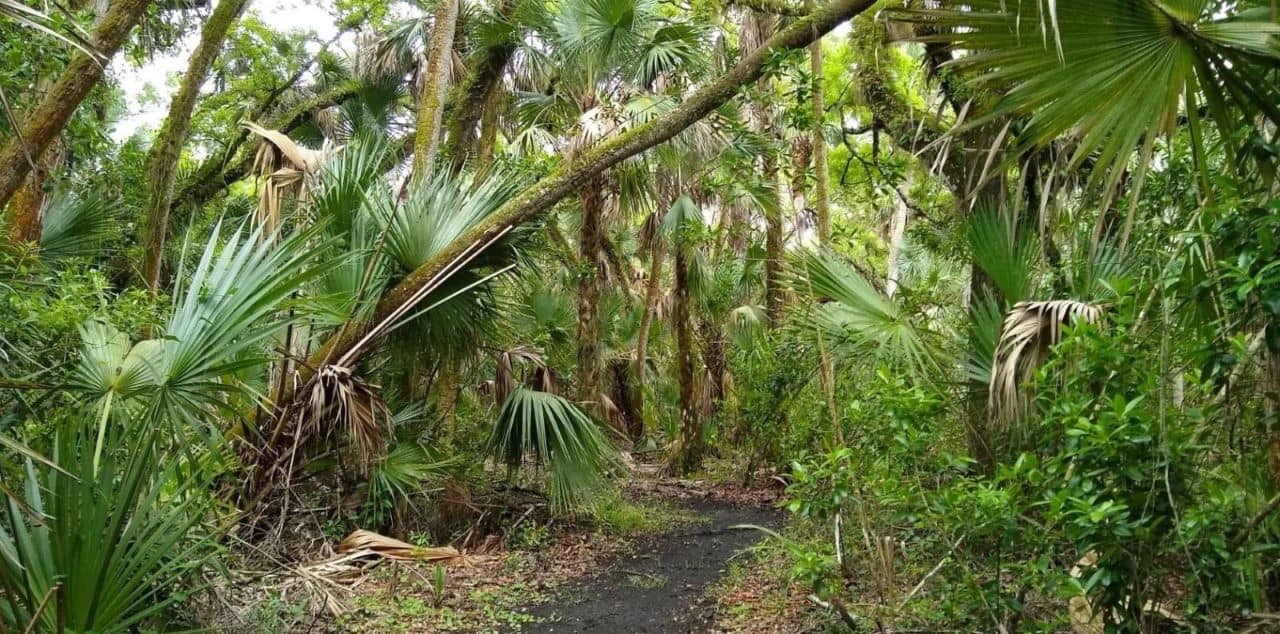 Exploring Southwest Florida Inland Towns: Immokalee and Ave Maria - The ...