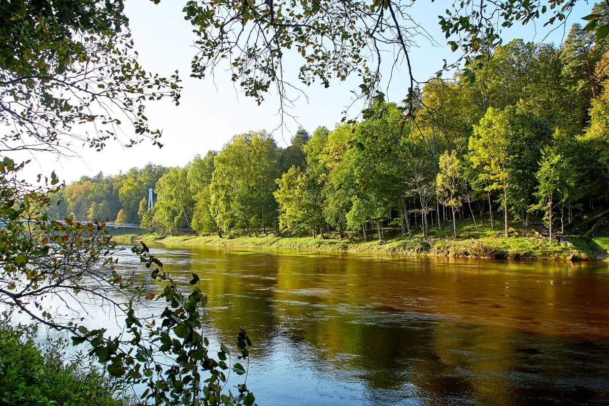 10 Best Day Trips From Riga - The Common Traveler