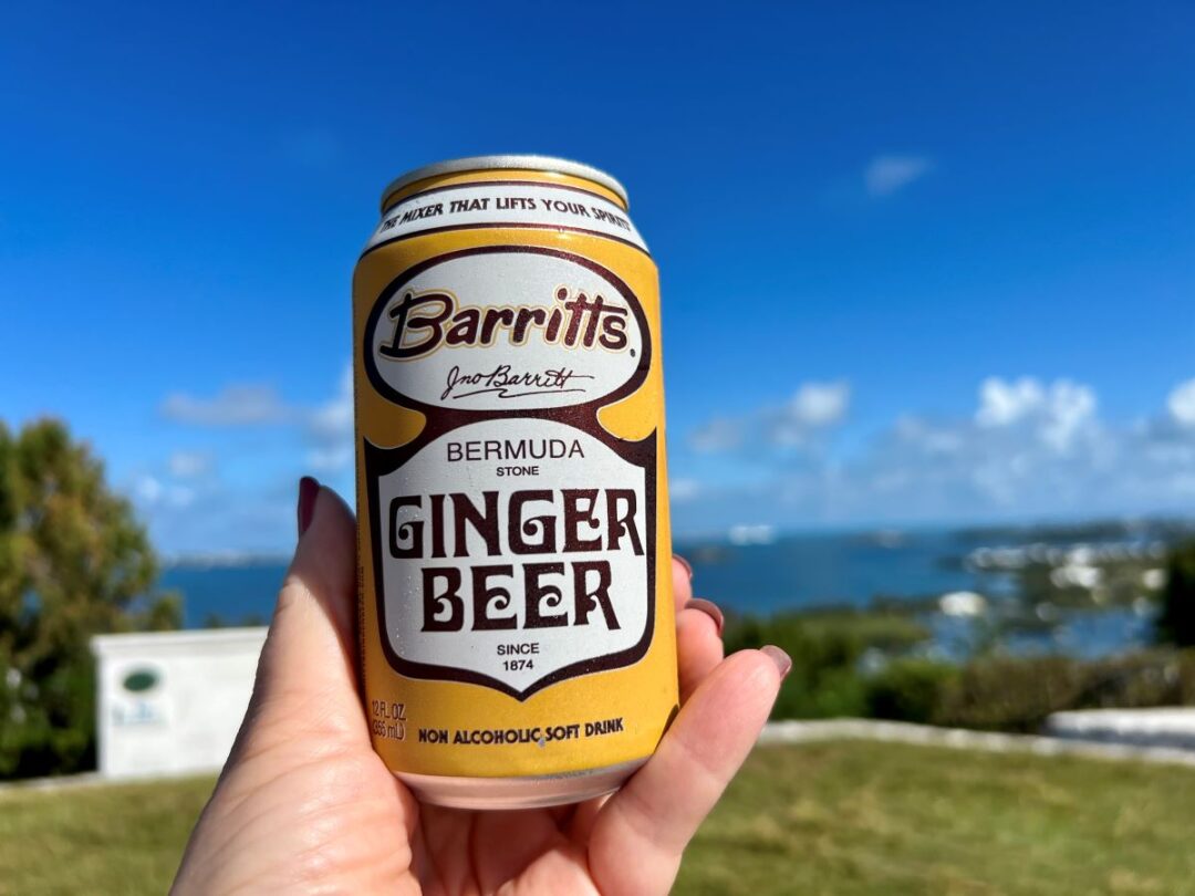10 Best Bermuda Souvenirs - The Common Traveler