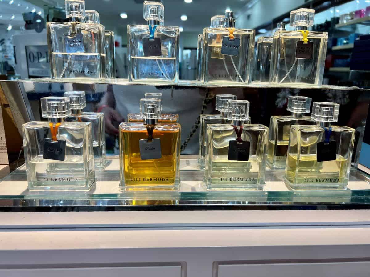 10 Best Bermuda Souvenirs - The Common Traveler