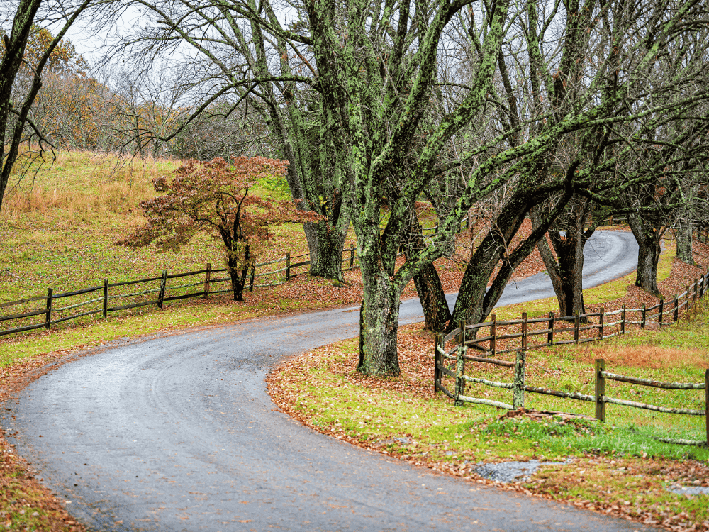 15+ Amazing Things to Do in Charlottesville, Virginia - The Common Traveler