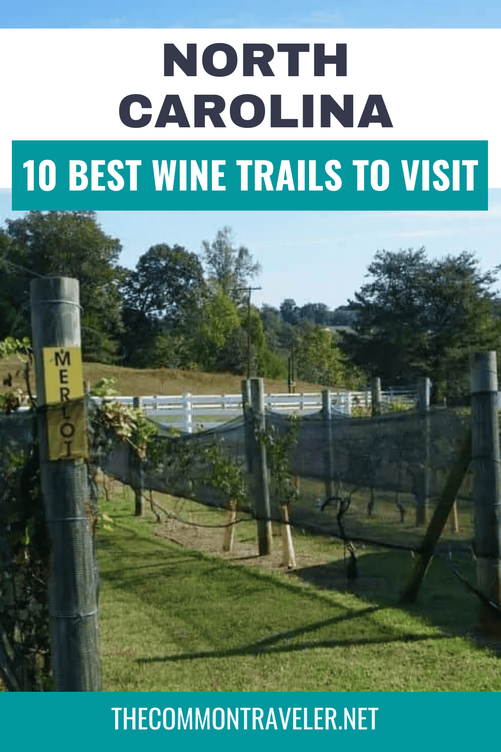 Top 10 North Carolina Wine Trails to Visit - The Common Traveler