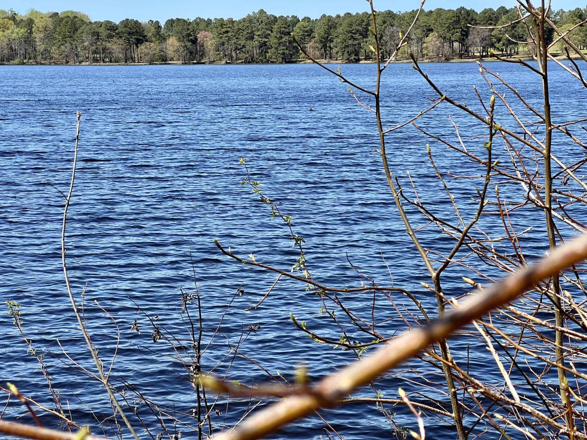 21 Best Things To Do in Wilson, NC - The Common Traveler