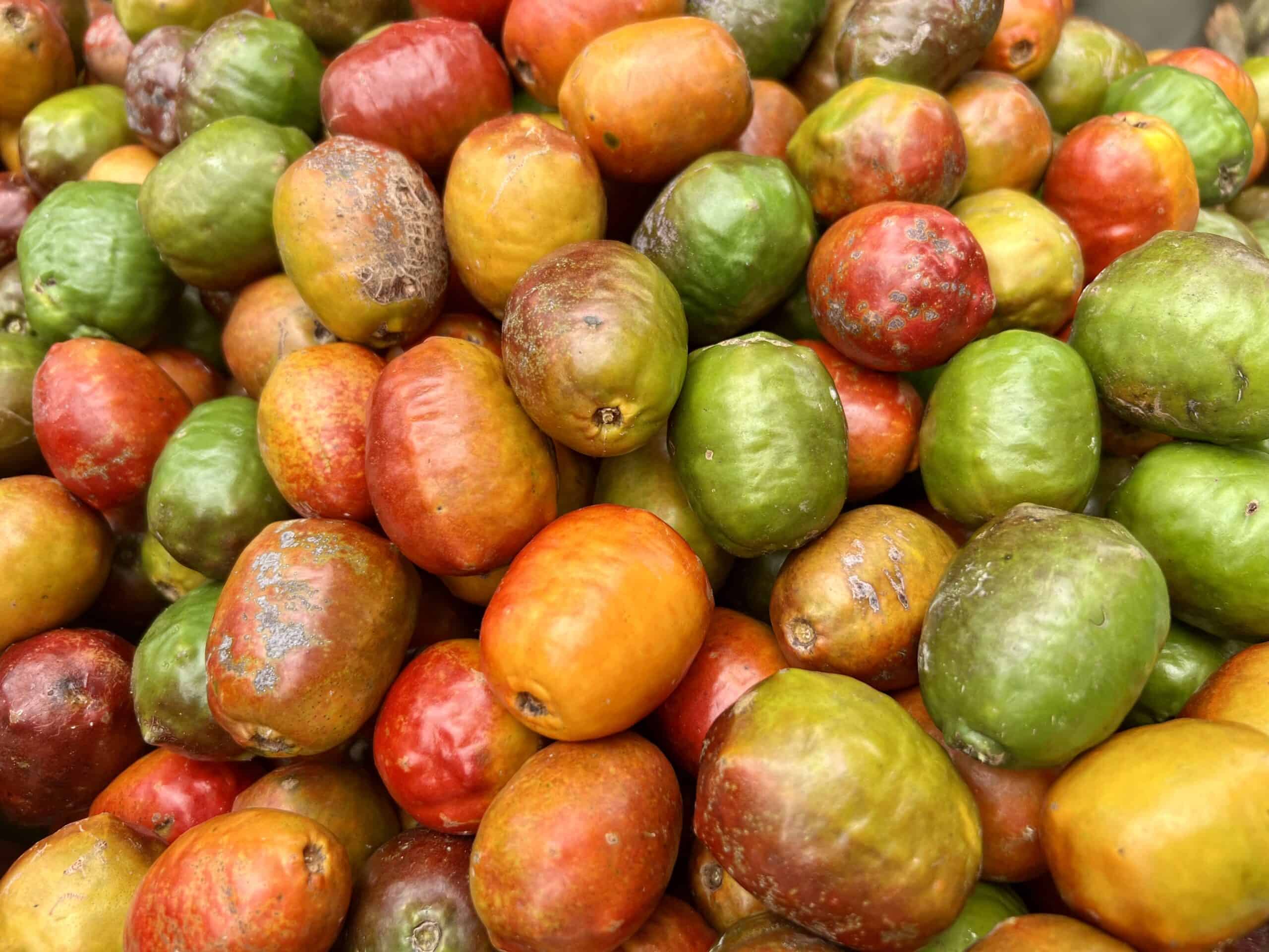 15 El Salvador Foods to Try on Your Next Trip - The Common Traveler